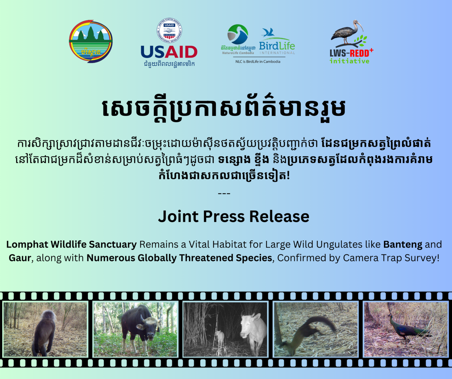 Lomphat Wildlife Sanctuary Remains a Vital Habitat for Large Wild ...