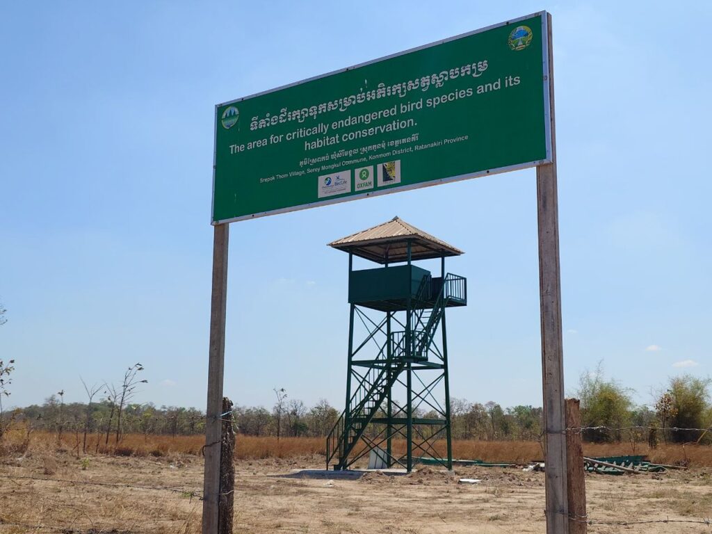 Economic Land Concession Company Establishes Wildlife Observation Tower ...